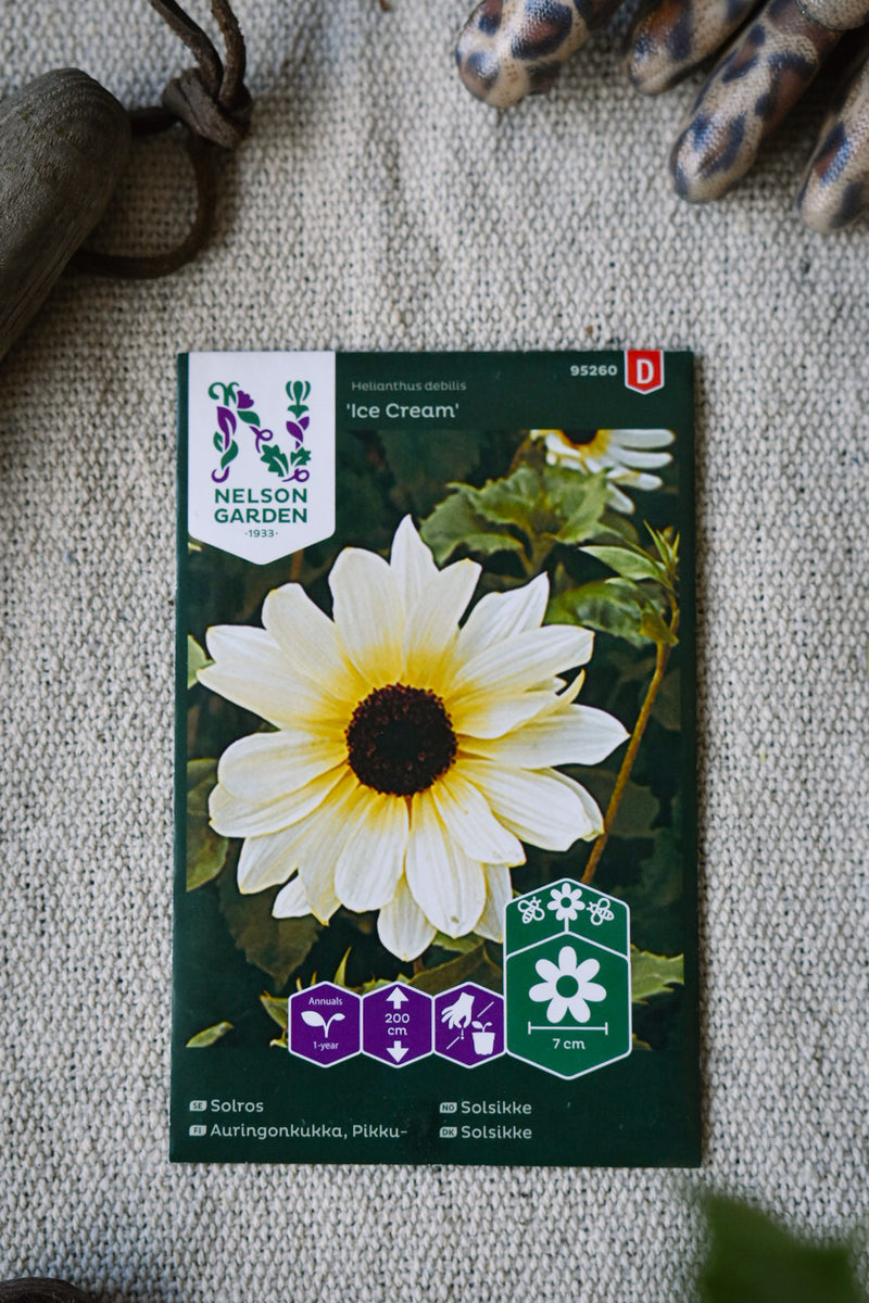 Solros Ice Cream – Lilla Wextverk